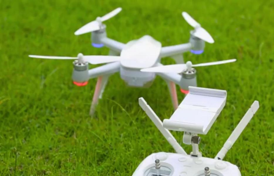 Walkera 15004550 Aibao Test: range, flight time, flight characteristics ...